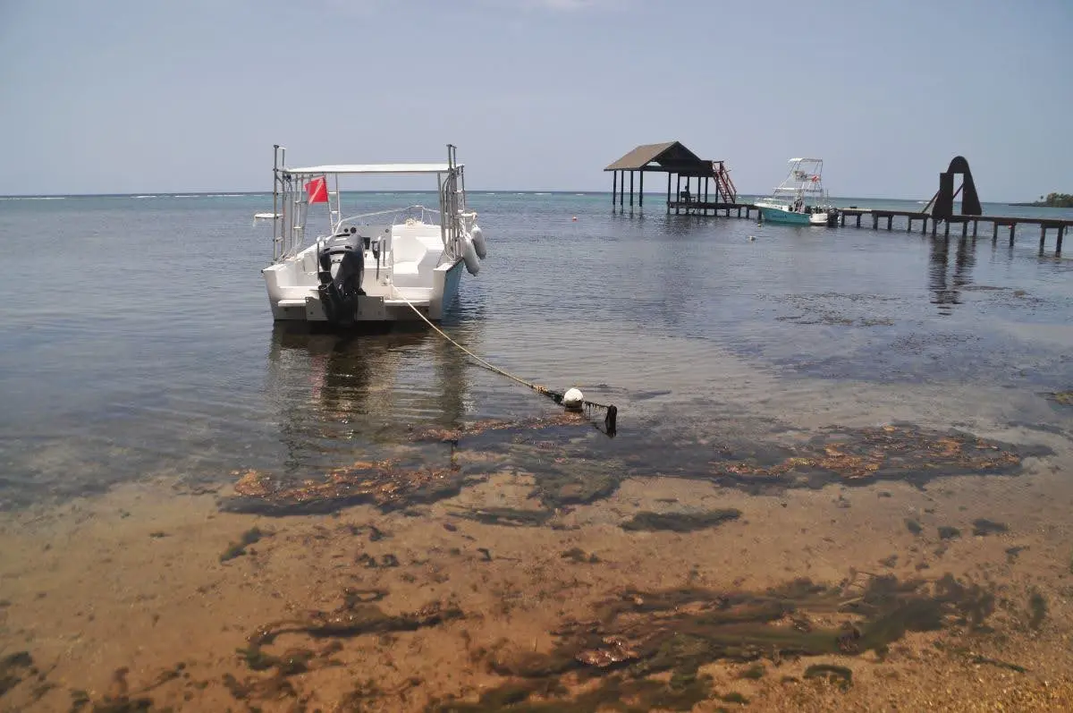 sandy-bay-roatan-honduras-2022-0128 | The Blog of Dimi