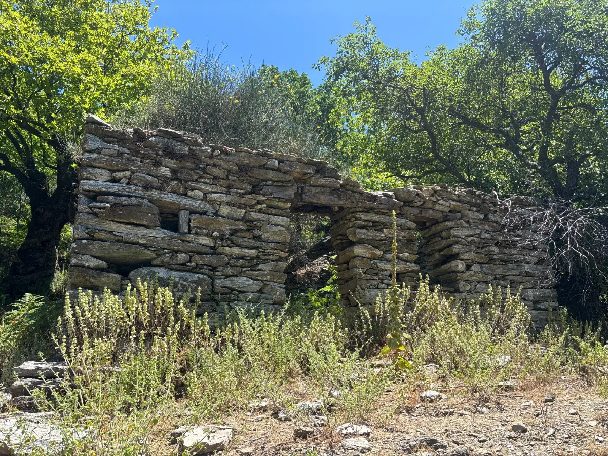 Dimosaris Gorge to Kallianos Beach: Scenic Hike on South Evia | The ...