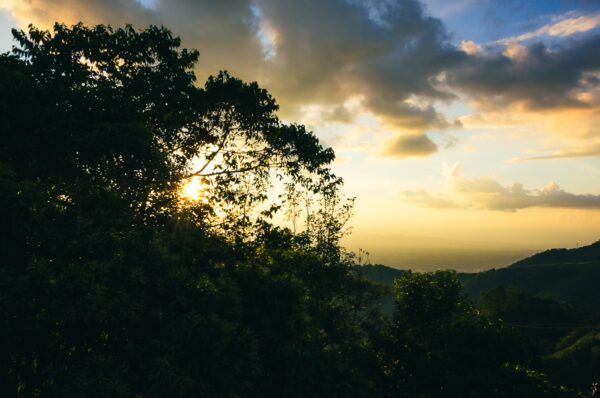 Alto de La Linea, Tolima, Colombia (2026) – Photos | The Blog of Dimi