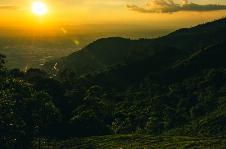 Alto de La Linea, Tolima, Colombia (2026) – Photos | The Blog of Dimi