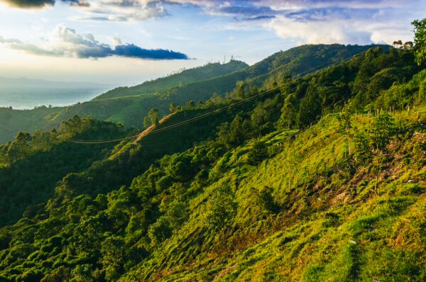 Alto de La Linea, Tolima, Colombia (2026) – Photos | The Blog of Dimi